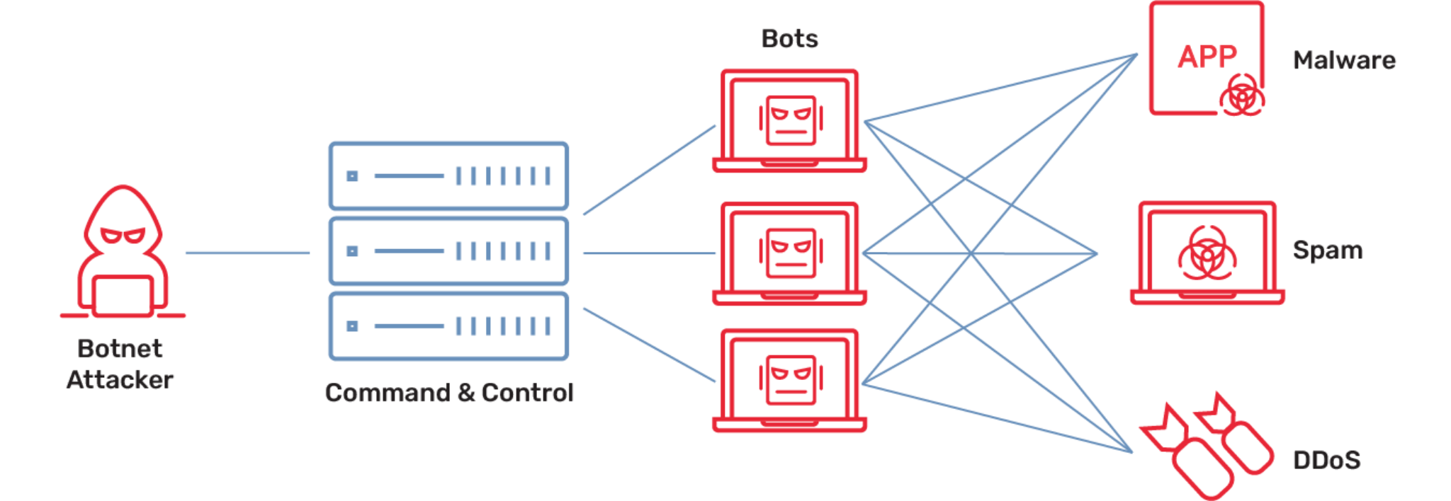 ボットネットとは｜用語集｜A10ネットワークス アプリケーション配信｜プロキシ｜SSL可視化｜DDoS対策